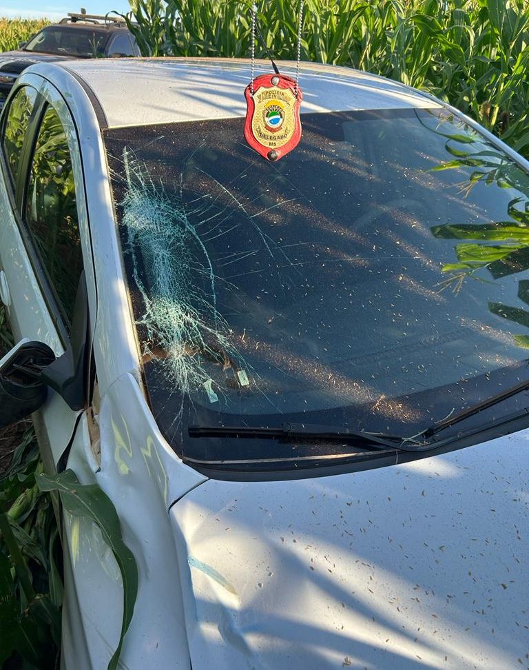 Polícia Civil identifica automóvel e condutor envolvido em acidente com ... Polícia Civil identifica automóvel e condutor envolvido em acidente com ...